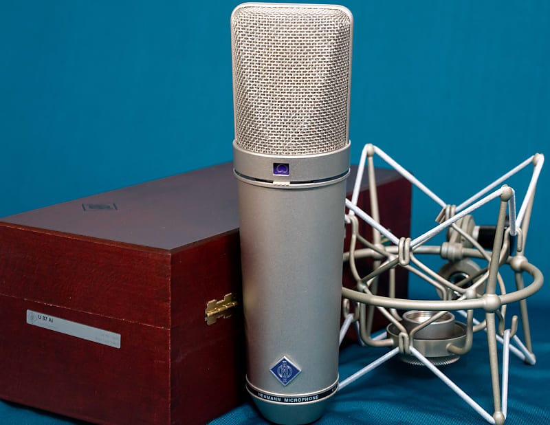 Neumann U87 AI Large Condenser Microphone w/ EA 87 Shockmount | Reverb