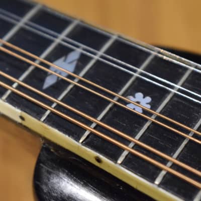The Dayton Style B mandolin 1910s - black | Reverb Deutschland