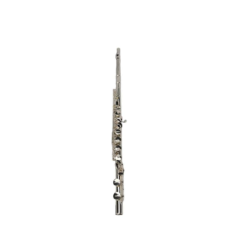 Schiller Frankfurt Elite Studio Alto Flute | Reverb