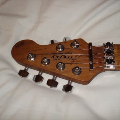 Firefly FFMN - Stripes - Stainless Frets - Floyd Rose | Reverb