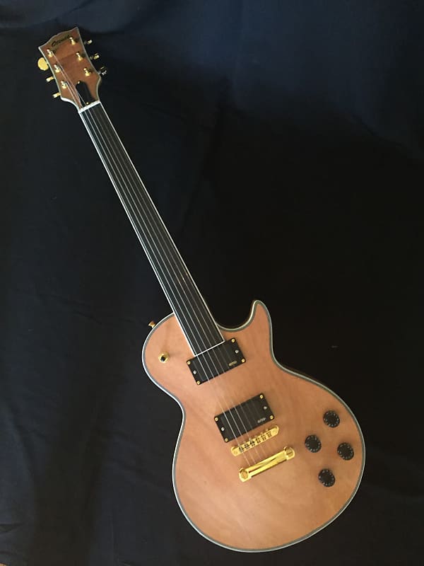 Single Cut-Style Fretless Six String Electric Guitar w/Hard | Reverb