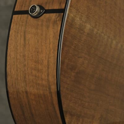 2001 Breedlove SJ25/W Jumbo w/WALNUT back + sides RMC | Reverb