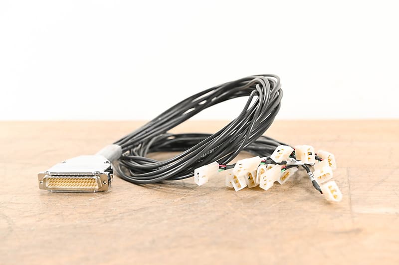 Belden DB50 to E3M Fanout Cable CG01AGF | Reverb UK