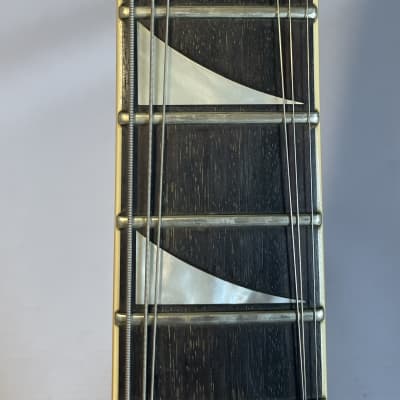 1987 Charvel Jackson Model 6 Neck Thru Pearl White 6 String | Reverb