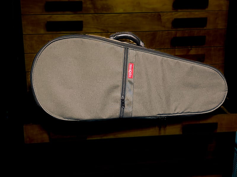 Caseadillo Calton Mandolin 2024 - grey | Reverb