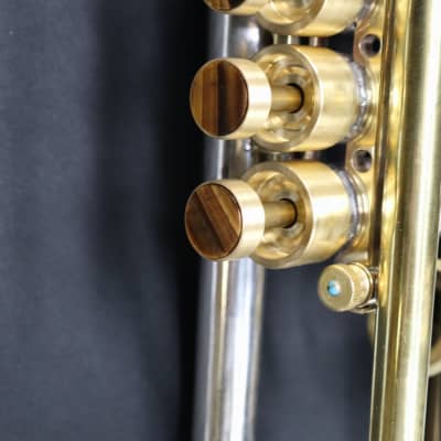 Custom Bach Stradivarius Tiger Eye Finger Buttons | Reverb