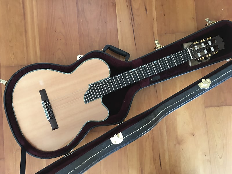 Sand Guitars electric nylon string Mahagoni - Barbera pickup | Reverb