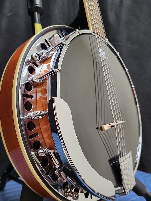 Epiphone Stagebird 6-String Banjo | Reverb