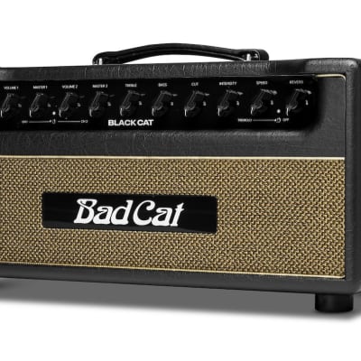 Bad Cat Amplifiers Black Cat Head 20W 2 Channel Amp Direct | Reverb