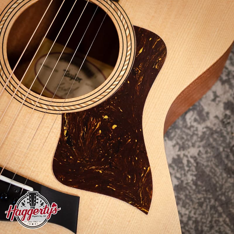 Taylor Pickguard, Right Handed, GC, 5", Tortoise | Reverb