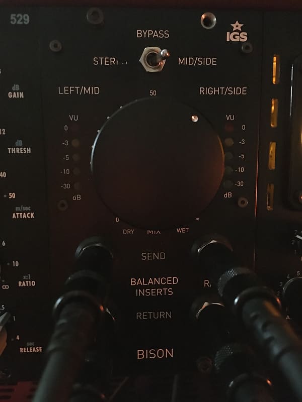 IGS Bison 500 | Reverb