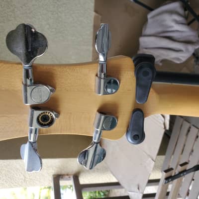 Schecter Stargazer Bass with Lace Sensor Pickups and EMG HZ | Reverb