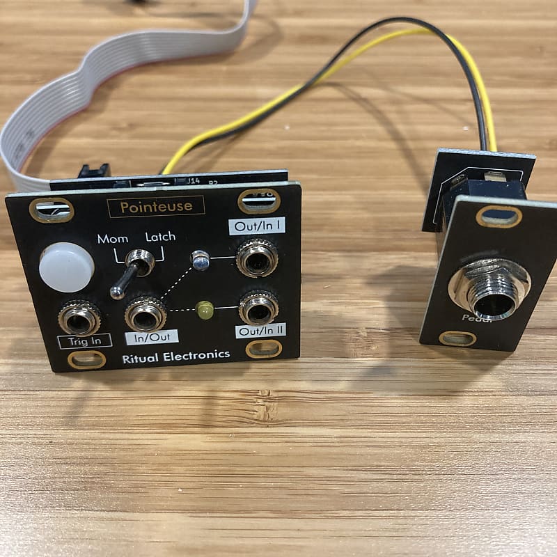 Ritual Electronics Pointeuse - Black | Reverb