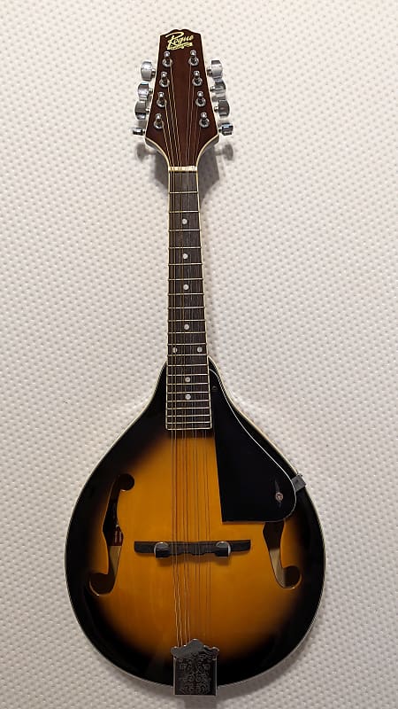Rogue RM-100A Mandolin with gig bag | Reverb