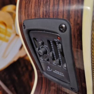 Furch Vintage 2 OMc-SR Acoustic Guitar, LR Baggs Stage Pro | Reverb