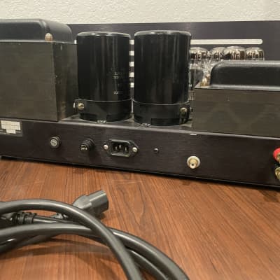 VTL MB-250 Monoblock Tube Power Amplifiers Pair | Reverb
