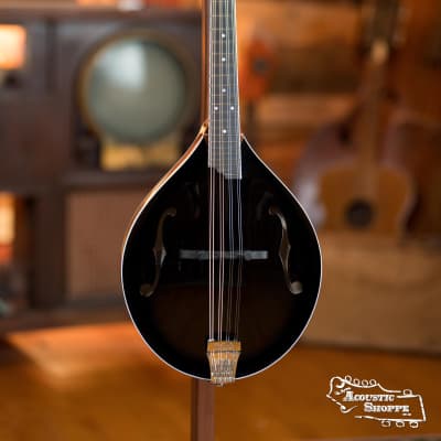 Bulas Carpathian Spruce/Curly Maple Black Top A-Style | Reverb