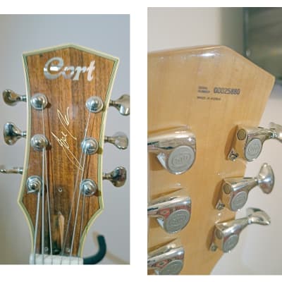 - RARE - Cort Joe Beck Alto Guitar | Reverb