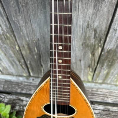 Lyon and Healy Italian Style Bowlback Mandolin Brazilian | Reverb