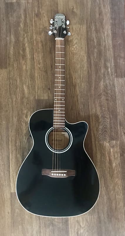 OPEN TO OFFERS Ashland by Crafter (Electro acoustic, black) | Reverb