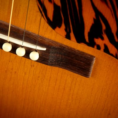 Iris AB Distressed Sunburst | Reverb