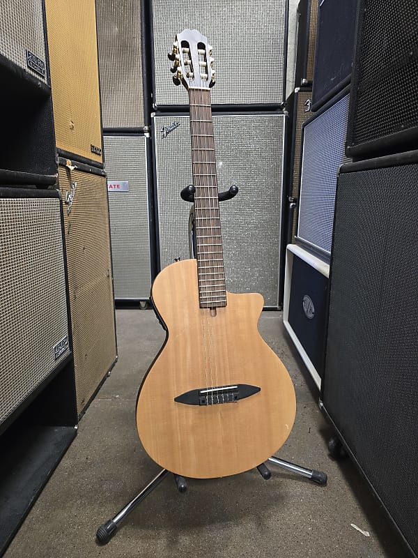 Antonio Hermosa AH-50 Chambered Classical Electric Acoustic | Reverb