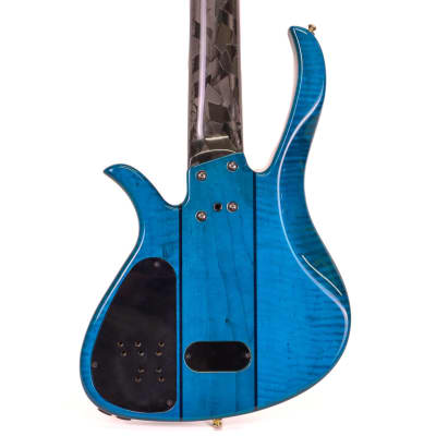 Peavey B Quad 5 Bass Guitar Fretless | Reverb