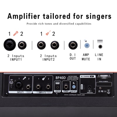 Acoustic Guitar Amplifier, 80 Watt Portable Bluetooth Amp for | Reverb