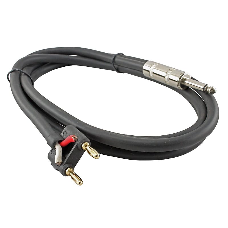 6 Ft Foot 1/4 To Dual Banana Plug Post Pa Dj Amp Amplifier | Reverb