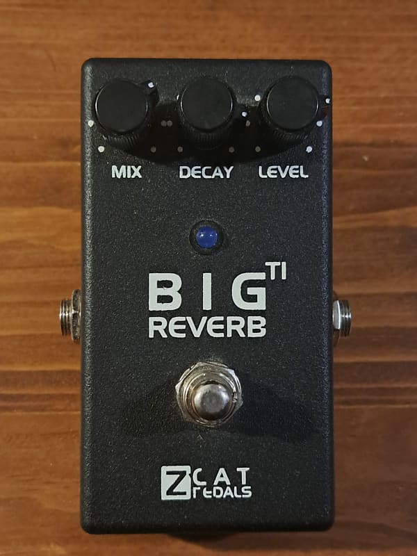 Zcat Big Reverb Ti 2010's | Reverb