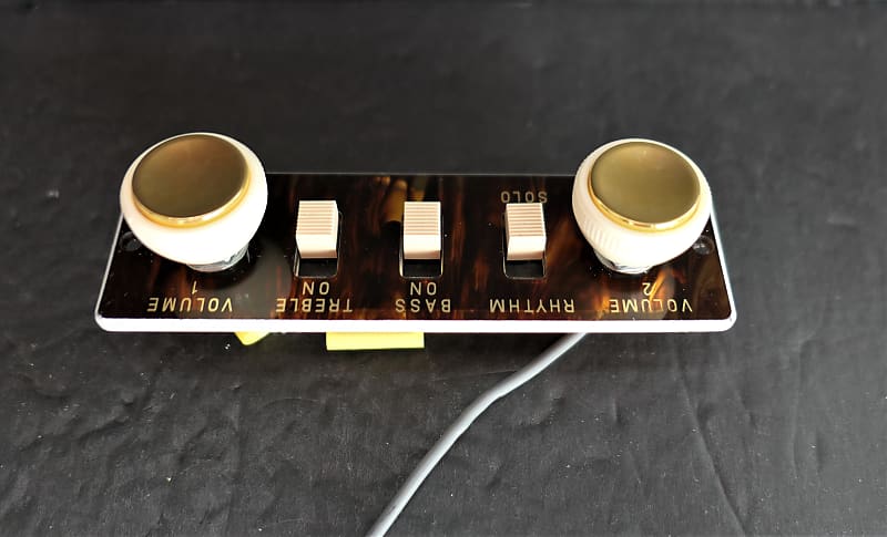 Hofner HA2B-T tortoiseshell plastic Control Plate for Beatle | Reverb