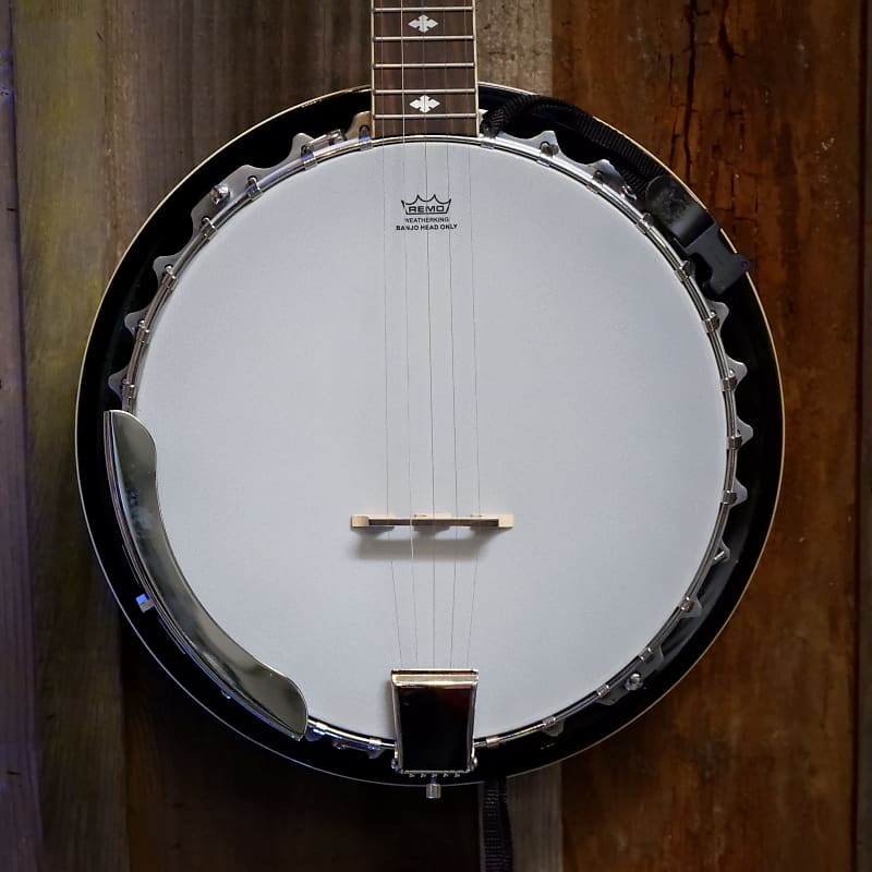 Stagg 5 String Bluegrass Banjo Deluxe With Metal Pot Bjm30 Dl Reverb