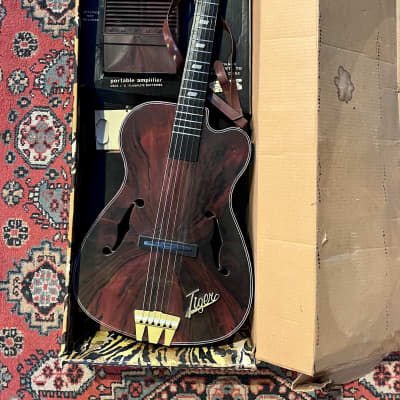 1965 Eminee Tiger Guitar /Amp ORIGINAL COMPLETE Tiger 1965 - | Reverb