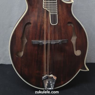 Mandolin Bluegrass Satin | Reverb