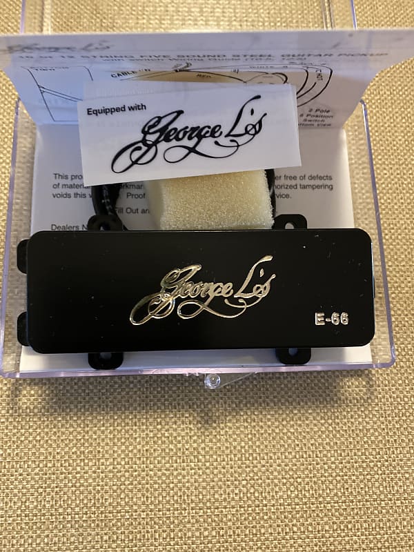 George L E66– 10 string pickup 2020 Black shiny | Reverb