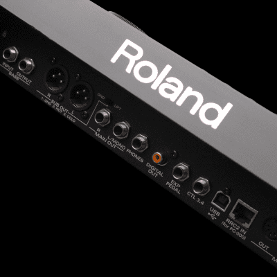 Roland VB-99 V-Bass System | Reverb