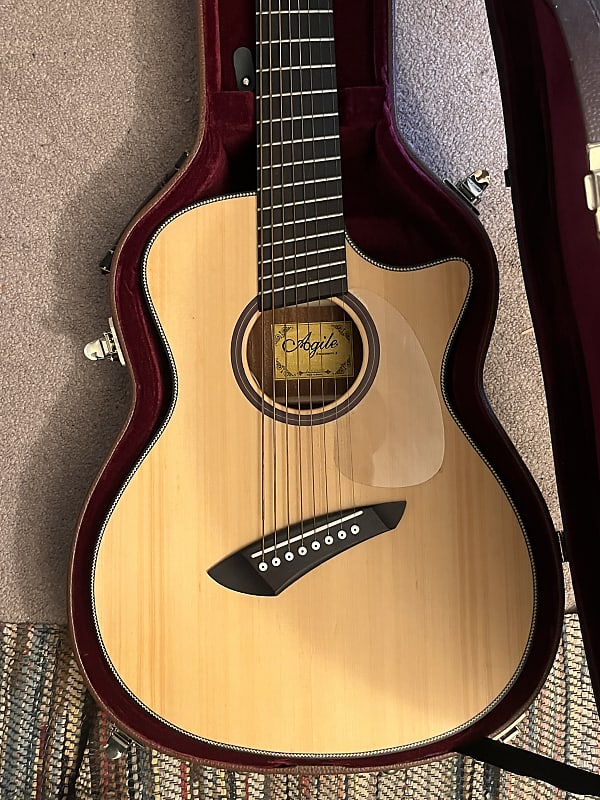 Agile Renaissance X 8-String 2000s - Natural | Reverb