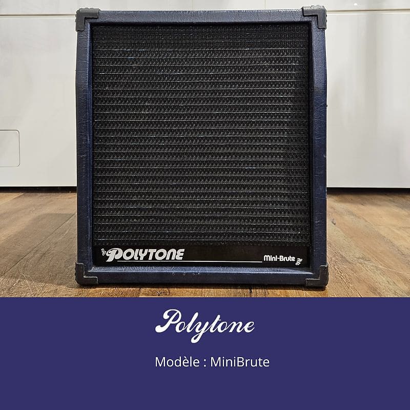 Polytone Mini brute 2 | Reverb