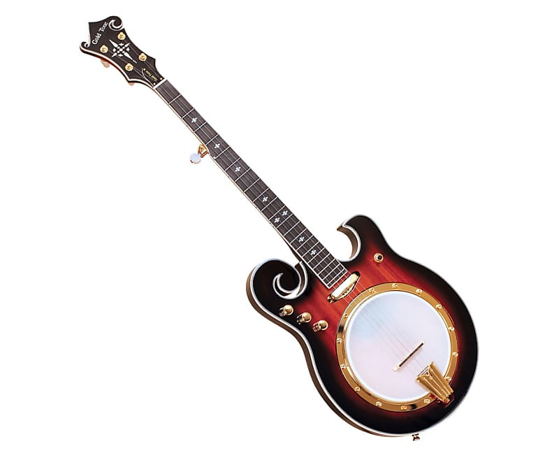 Gold Tone EBM-5 Electric Solidbody 5-String Banjo Lefty - | Reverb