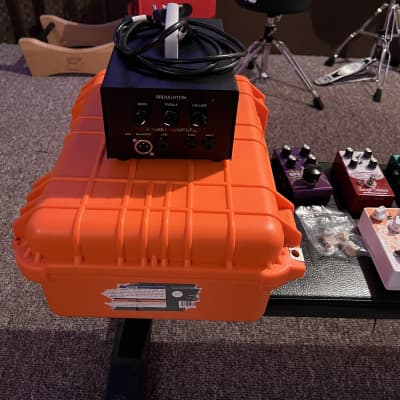 Broughton P15 Tube Bass Preamp and Case | Reverb