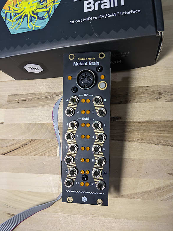 Hexinverter Mutant Brain 2010s - Black | Reverb