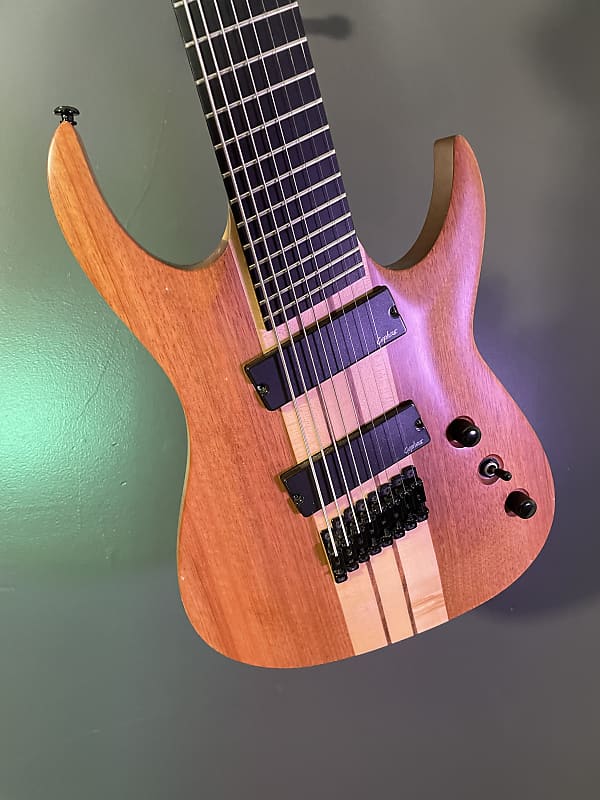 Agile Pendulum 8 string | Reverb