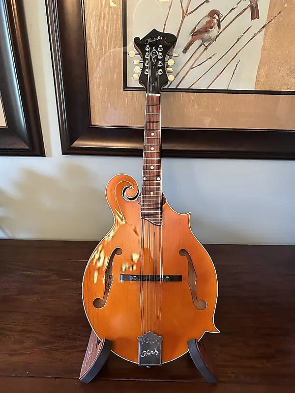 Kentucky KM-752 F Mandolin and Pro Gigbag | Reverb