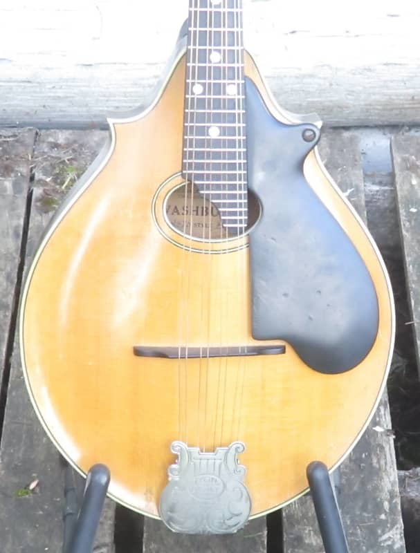 Lyon & Healy Style B mandolin, 1924 | Reverb Slovakia