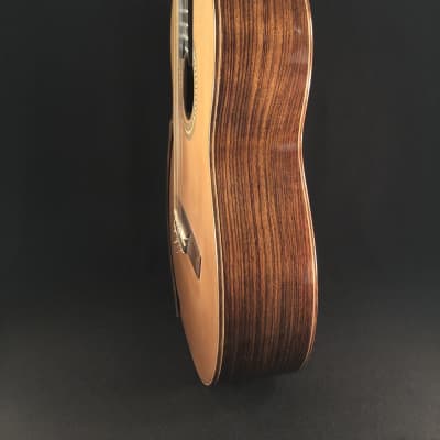 2010 David Pace "Double Top" Classical Guitar | Reverb