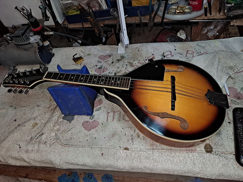 Rogue Mandolin rm 100a - Tobacco burst | Reverb