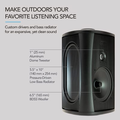 Definitive Technology AW 6500 Outdoor Speaker (Single, Black) | Reverb