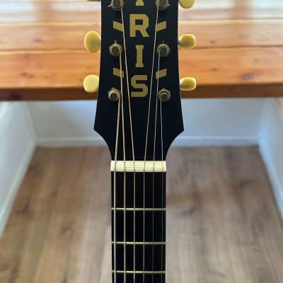 Iris AB 2022 Sunburst - KK pickup installed | Reverb