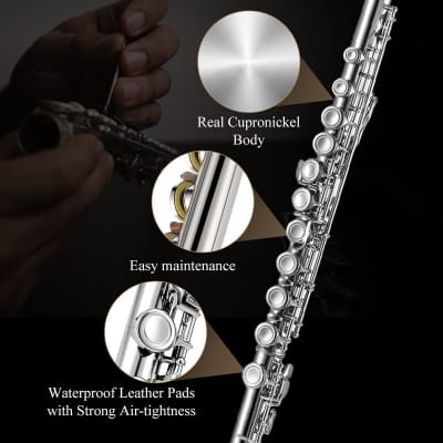 CONCERT FLUTE STUDENT / INTERMEDIATE SCHOOL BAND FLUTES WITH | Reverb