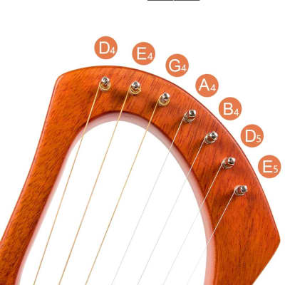 7 String Lyre Harp Bundle - Bone Saddle Mahogany Body | Reverb
